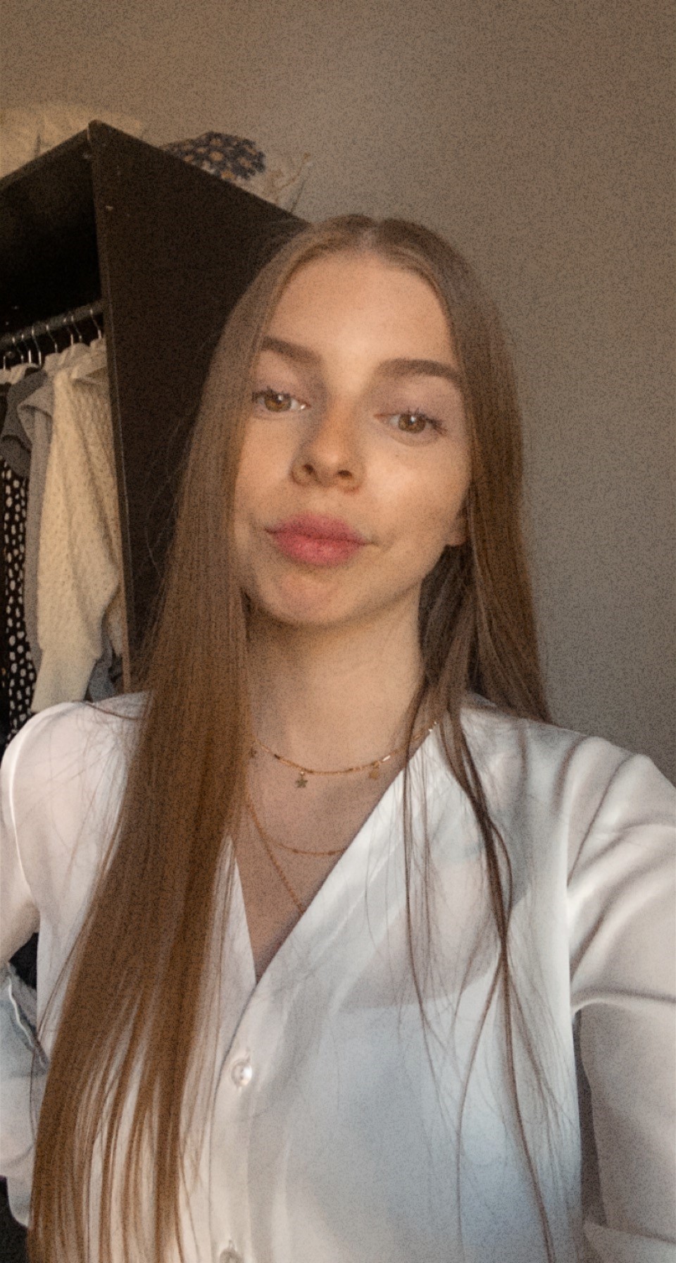 About - Reactive Dog Gear